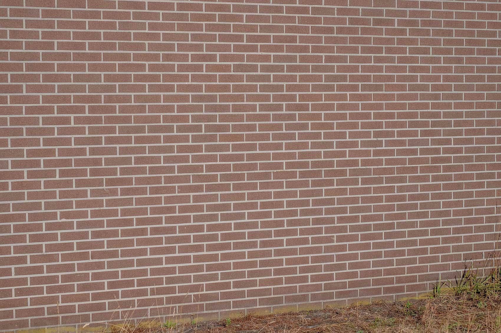 RECTAVIT DryStone Facade vochtwering voor muren transparent na drogen (5 l) - 147276 | Klium