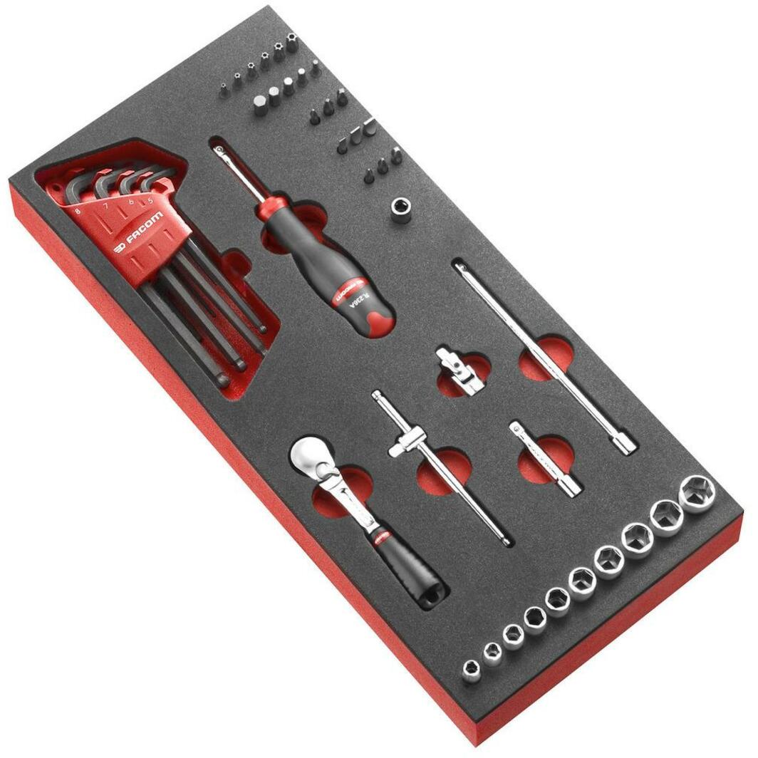 FACOM MODM.RL161-36 foammodule handdoppenset 1/4" | Klium